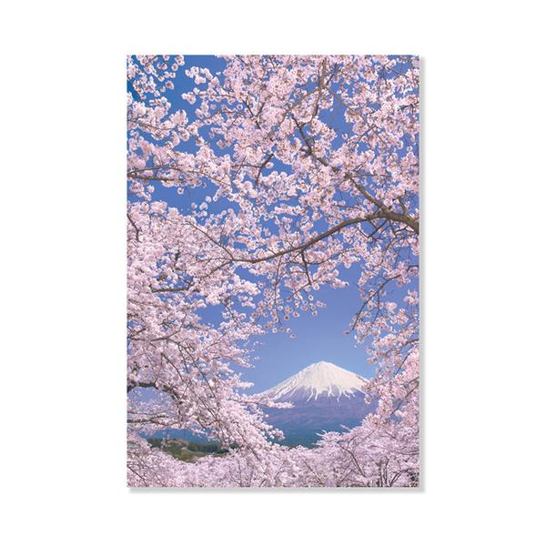 柄：富士桜本体サイズ（約）：縦148mm×横100mm枚数：1枚素材：紙