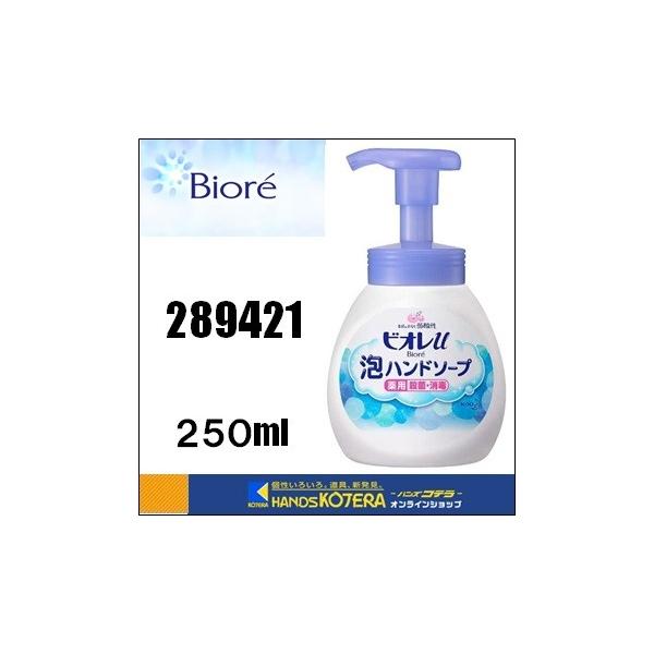 ◆ホット＆クリーンナビ掲載商品◆《特長》●殺菌ミクロン泡で、汚れを分解。バイ菌・ニオイをスッキリ落とします。●ベタベタ油汚れも1回洗いでスッキリ。かさつきがちな手肌も、うるおいを守って洗えます。●素肌とおなじ弱酸性●殺菌成分配合●しかり洗え...