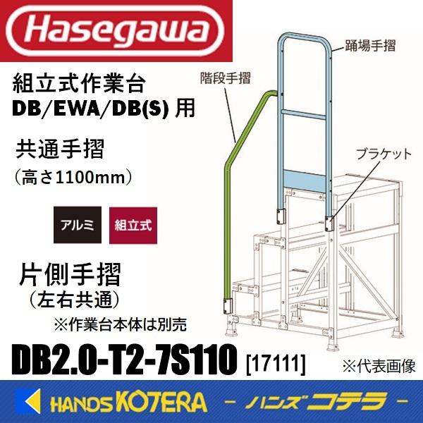 ※この商品はメーカーの都合により個人宅への配送の中止となりました。予めご了承下さい。配達をご希望のお客様は法人（会社）様宛でお願いいたします。※こちらの商品は手摺のみです。ステップは付属しておりません。《仕様》型式：DB2.0-T2S110...