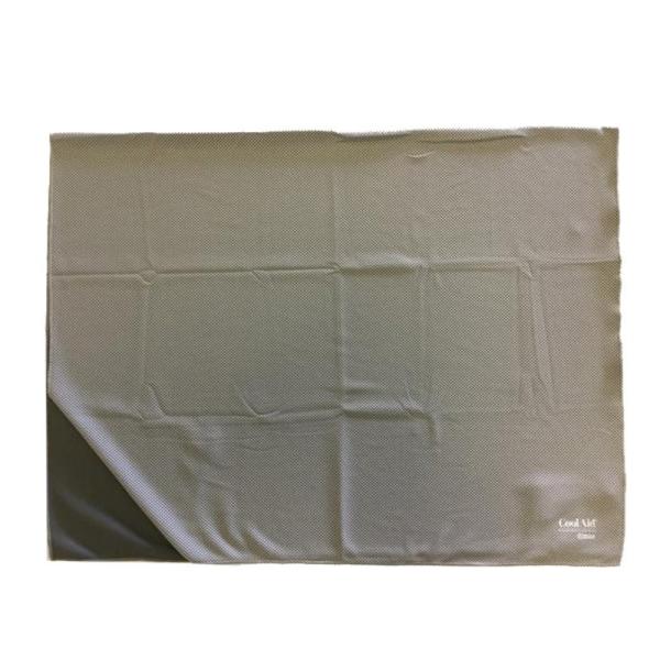 ※こちらはセール価格です。CoolaidはITMAのFuture Materials Awardsから特許取得済みの冷却布のラインで2015年の最優秀革新 - スポーツとアウトドアアパレルを受賞した Coolcore素材を使用し提携して作ら...