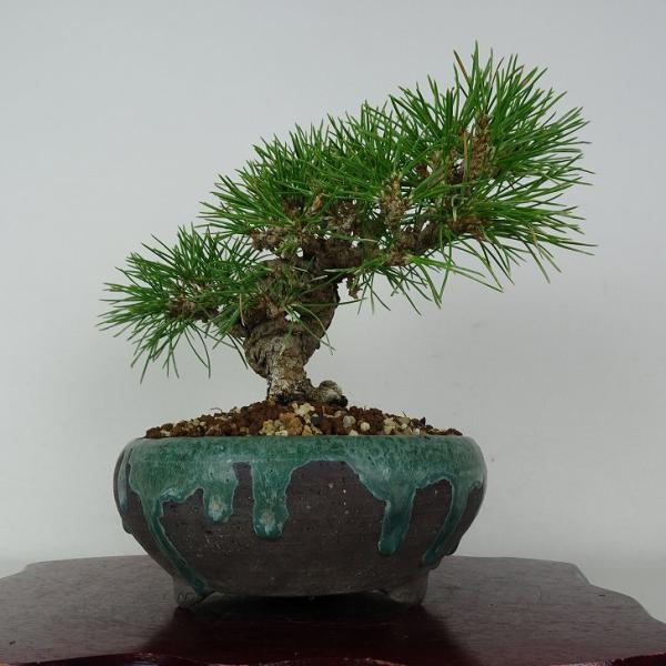 下記、商品説明をご覧ください。スマホの場合は商品情報をもっと見るを押してください。