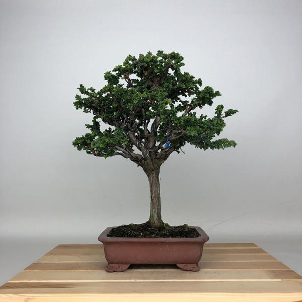 下記、商品説明をご覧ください。スマホの場合は商品情報をもっと見るを押してください。