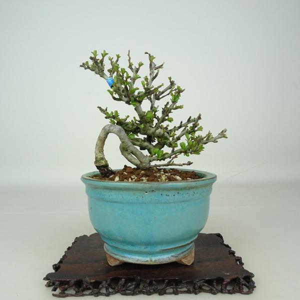 下記、商品説明をご覧ください。スマホの場合は商品情報をもっと見るを押してください。