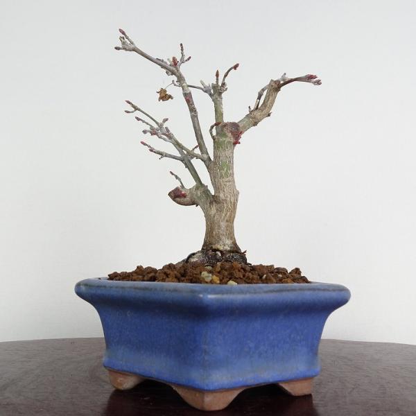 下記、商品説明をご覧ください。スマホの場合は商品情報をもっと見るを押してください。