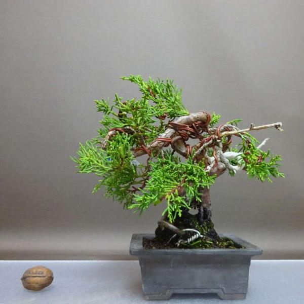 下記、商品説明をご覧ください。スマホの場合は商品情報をもっと見るを押してください。