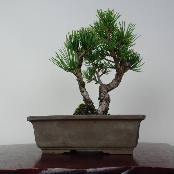 下記、商品説明をご覧ください。スマホの場合は商品情報をもっと見るを押してください。