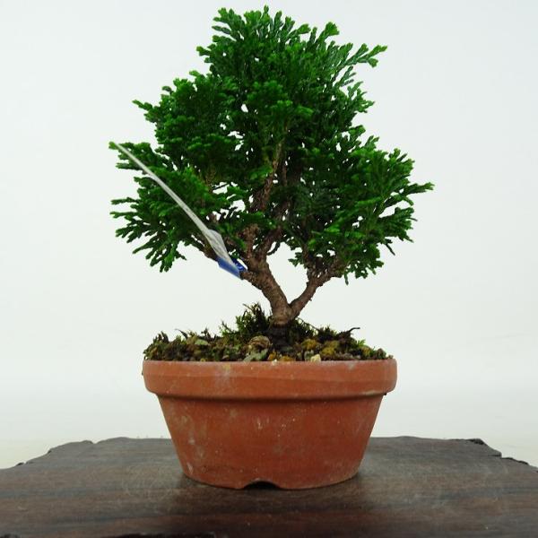 下記、商品説明をご覧ください。スマホの場合は商品情報をもっと見るを押してください。