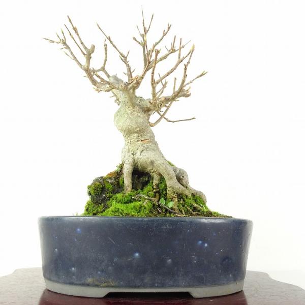 下記、商品説明をご覧ください。スマホの場合は商品情報をもっと見るを押してください。