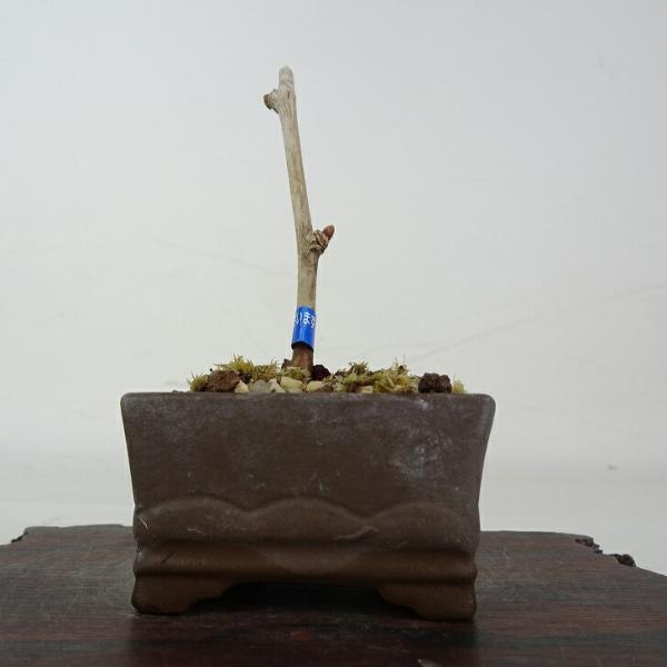 下記、商品説明をご覧ください。スマホの場合は商品情報をもっと見るを押してください。