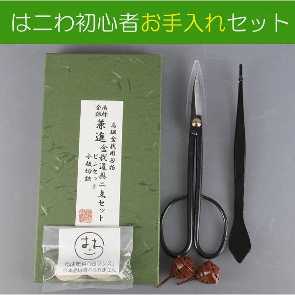 商品名 　盆栽お手入れセットセット内容 　剪定ばさみ（箱付き）　へら付きピンセット　IBワンス肥料　肥料パック