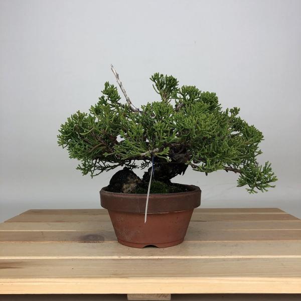 下記、商品説明をご覧ください。スマホの場合は商品情報をもっと見るを押してください。