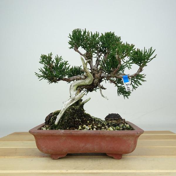 下記、商品説明をご覧ください。スマホの場合は商品情報をもっと見るを押してください。