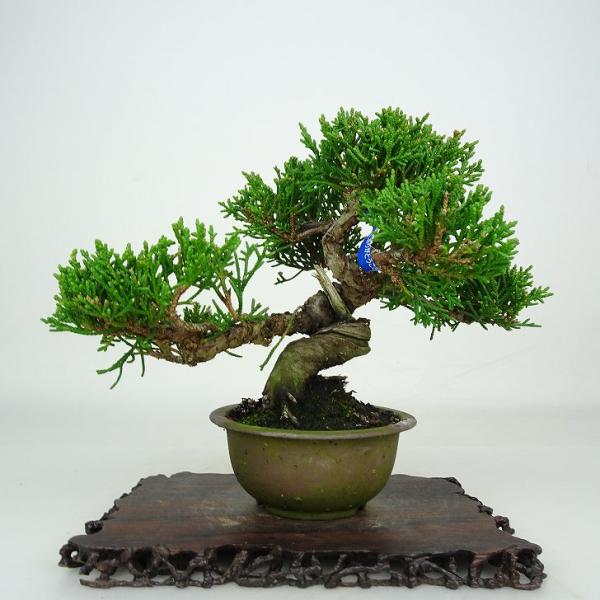 下記、商品説明をご覧ください。スマホの場合は商品情報をもっと見るを押してください。