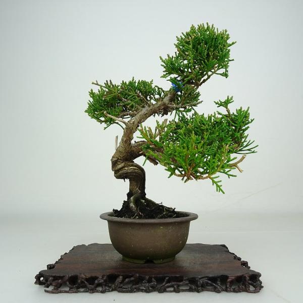 下記、商品説明をご覧ください。スマホの場合は商品情報をもっと見るを押してください。