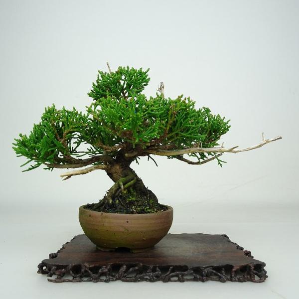 下記、商品説明をご覧ください。スマホの場合は商品情報をもっと見るを押してください。