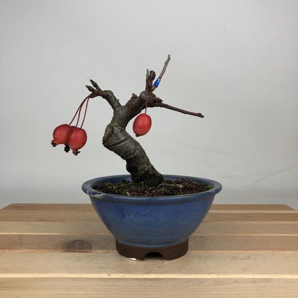 下記、商品説明をご覧ください。スマホの場合は商品情報をもっと見るを押してください。