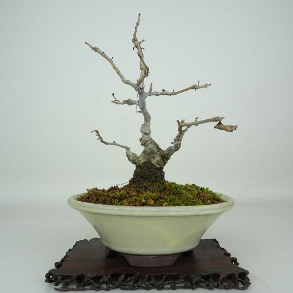 下記、商品説明をご覧ください。スマホの場合は商品情報をもっと見るを押してください。