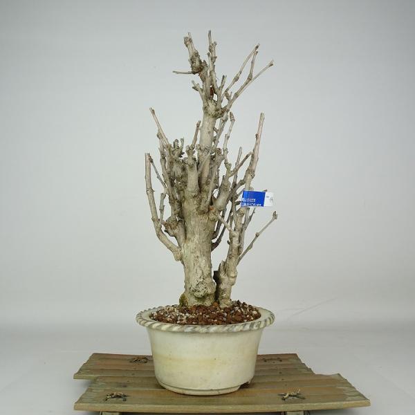 下記、商品説明をご覧ください。スマホの場合は商品情報をもっと見るを押してください。