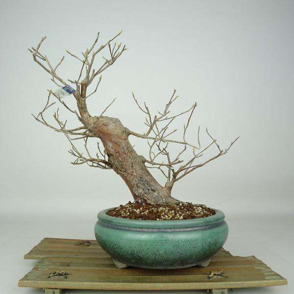 下記、商品説明をご覧ください。スマホの場合は商品情報をもっと見るを押してください。