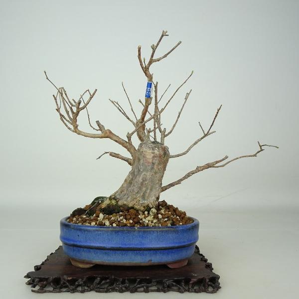 下記、商品説明をご覧ください。スマホの場合は商品情報をもっと見るを押してください。