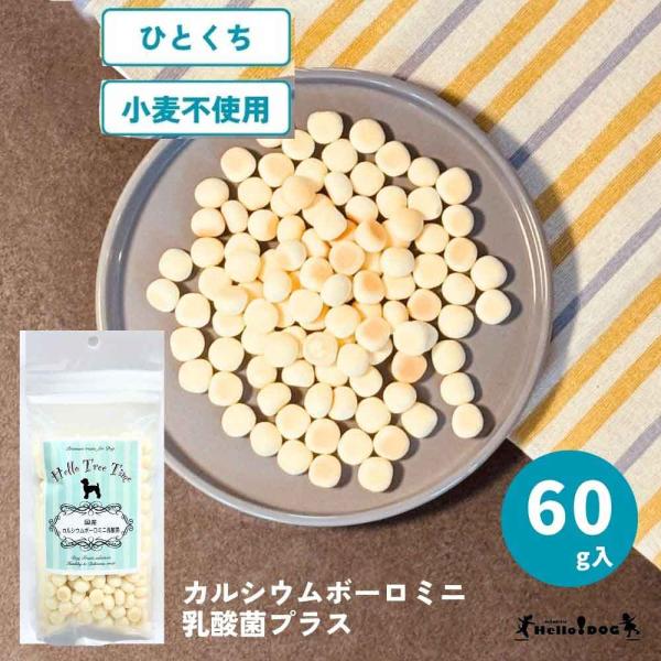小麦粉不使用の安心おやつ！産ばれいしょでん粉の自然のおいしさそのままに、小粒なボーロに仕上げました！小粒で食べやすく、トレーニング時のおやつにもぴったり！たっぷりのカルシウムに加え、整腸効果がある乳酸菌も配合し、健康をサポートします【原材料...