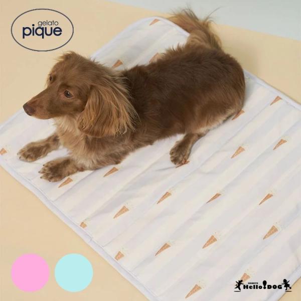 夏の気分を盛り上げるカラフルなストライプ柄に、弾けるフルーツやアイス柄をプリントしたCAT&amp;DOGシリーズです。暑い時期にもひんやり涼しい、接触冷感のカットソー素材を使用したマット。抗菌防臭加工も施しています。くるっとコンパクトに折...