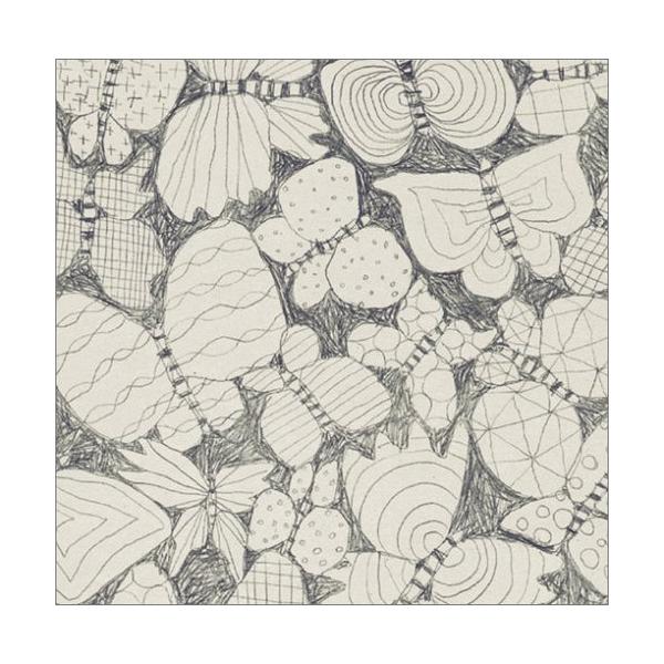 【発売日：2004年12月22日】asana (アサナ あさな)2004年12月22日 発売名古屋発、浅野祐介による不定形ユニット、ASANAのセカンド・アルバム。ガムラン/カリンバ/ガットギター/シタール/トランペット/アナログシンセ/ウ...