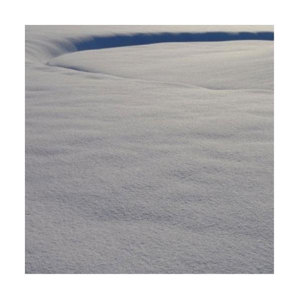 【発売日：2011年09月07日】Laika Came Back (ライカケイムバック らいかけいむばっく)2011年9月7日 発売CD:11.Coming Home2.Humming3.Landed4.Trace5.Snadai Khme...