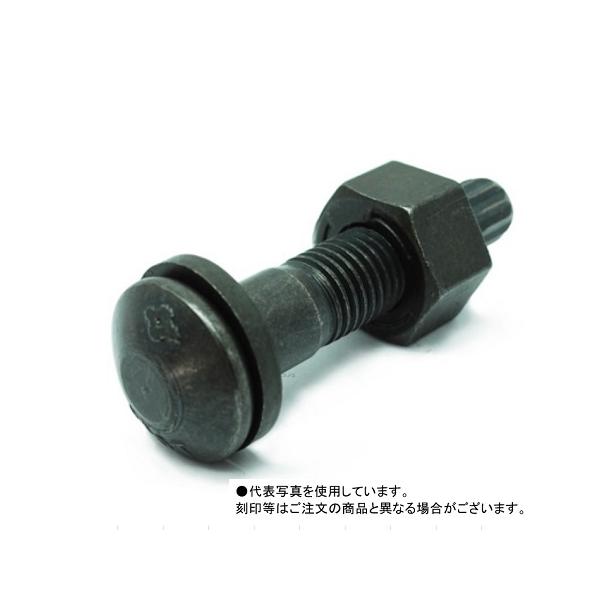 日亜鋼業 S10T トルシア型高力ボルトの通販価格と最安値