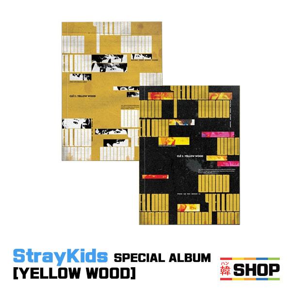 Stray Kids ニュー・アルバムの通常盤・フォトブック(バージョン別/スペシャルページ9種のうち1種ランダム)・CDピクチャー・ラベル(バージョン別)・QRフォトカード(45種中3枚封入/限定盤と共通)?※本品にポスター,フォトカード...