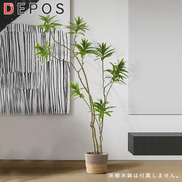 ■商品名：【人工観葉植物】ドラセナ ソングオブインディア 180cm Dracaena Song of India■サイズ(cm）：●本体高さ:約 180cm ●ベース:約 直径17×高さ14.6cm■梱包サイズ：約 横幅170x奥行20x...