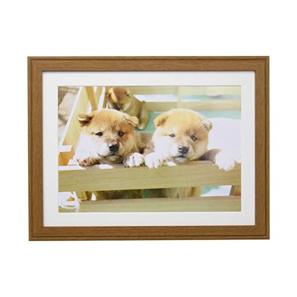 軽量・ブラウン A4 407734・・Size:A4Color:ブラウン・前面板には透明PET板(厚さ1.0mm)を採用。軽量で、破損を防ぐことができます。・木製・厚手Vカットマット台紙(厚さ1.3mm)・額縁外寸:W366×H279mm・...