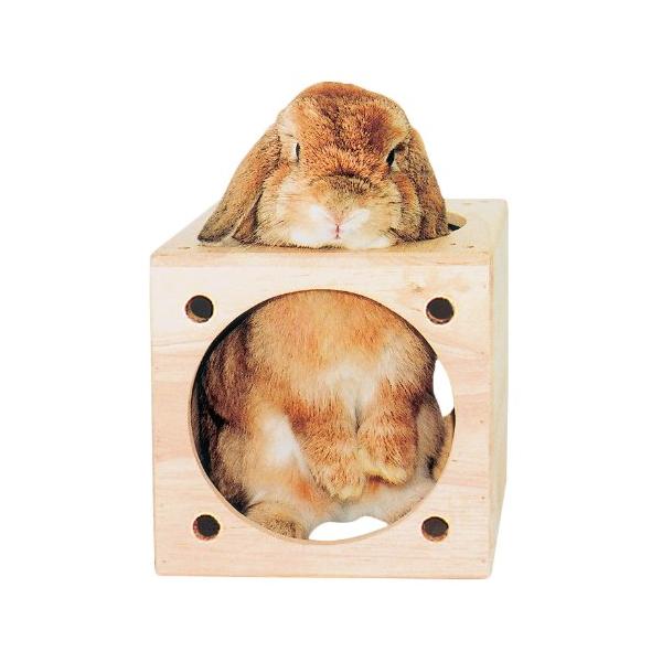 カジュアル・  42873・本体サイズ (幅X奥行X高さ) :18×18×18cm