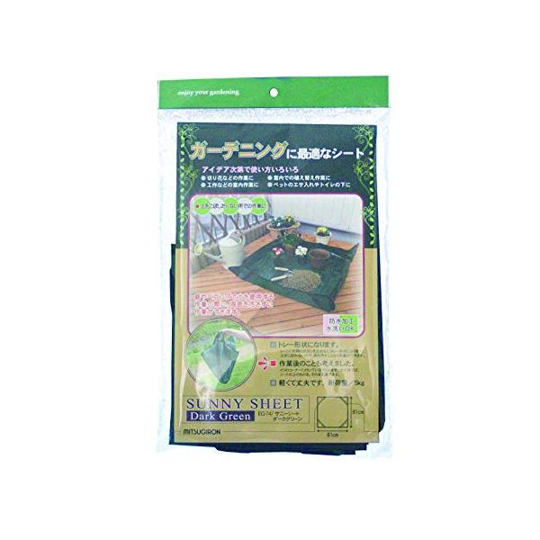 ・ダークグリーン  EG-74・カラー：グリーン・本体サイズ（約）：幅81×奥81cm、パッケージサイズ（約）：幅22.5×奥33×高36.5cm・重量：95g・素材：本体綿、ポリエチレン フチ・ベルト・ボタンポリプロピレン