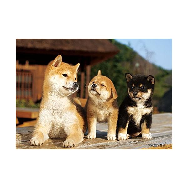 ・単品  P88-023・(C)YONEO MORITA/NOANOA 撮影協力:西湖いやしの里牧場(富士河口湖町)・完成サイズ:18.2x25.7cm