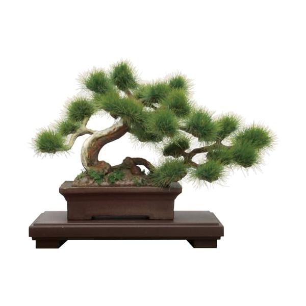 未塗装成型色/中型/JUL168769・パッケージ個数:1・組み立て塗装が必要なプラモデル。別途、接着剤や工具、塗料等が必要。・日本の伝統文化である盆栽をプラスチックモデルキットで再現したシリーズ第1弾・幹や枝ぶり、鉢も含めリアルにモデル化...