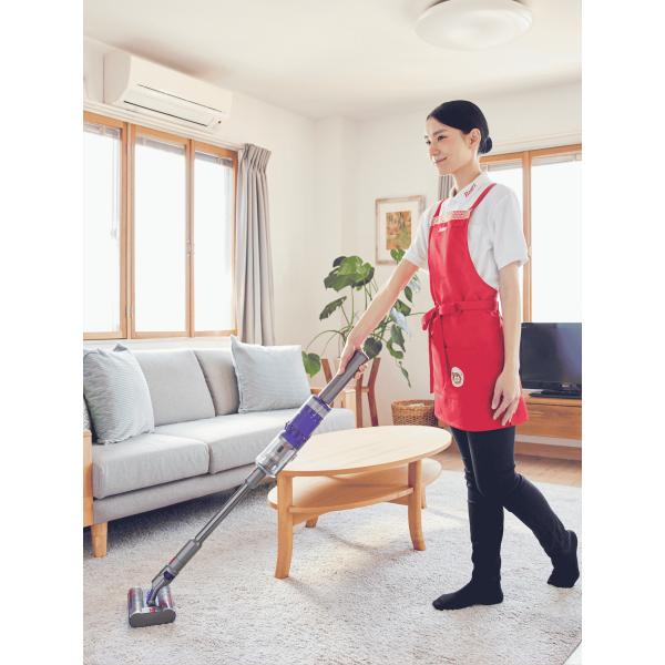 家事代行サービスは、日常のお掃除をはじめ、お料理、買い物、洗濯、アイロン掛け等の家事全般をお客様のご要望や用途にあわせて時間制でオーダーメイドで承るサービスです。1名　3時間※洗剤や道具、食材や調味料はお客様宅のものを使用します。※サービス...