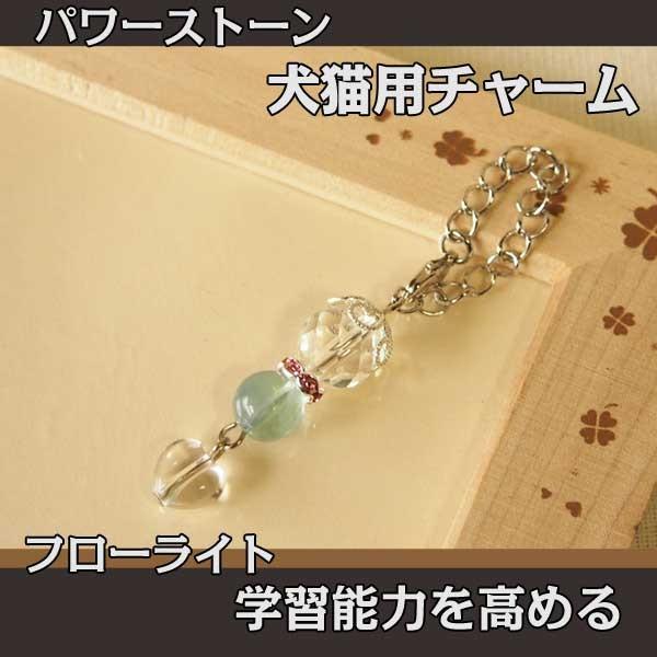 パワーストーン 天然石 ペット用 ネックレスチャームTOP 「 フローライトと水晶のペット用チャーム 」占い・開運・風水・パワーストーン 石・天然石・パワーストーン クリスタル(水晶) 浄化  厄除け 魔除け 開運贈り物 誕生日プレゼント