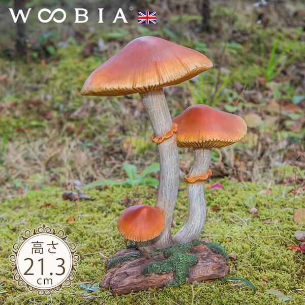 豊かな表情とリアルな質感で思わず笑顔になる愛らしさ。■商品名　3連キノコ《 ヒメアジロガサ（21.3cm）》■ブランド  WOOBIA（ウービア）■内容物　本体■サイズ　高さ21.3cm × 横幅11.5cm × 奥行14.8cm■重さ　4...