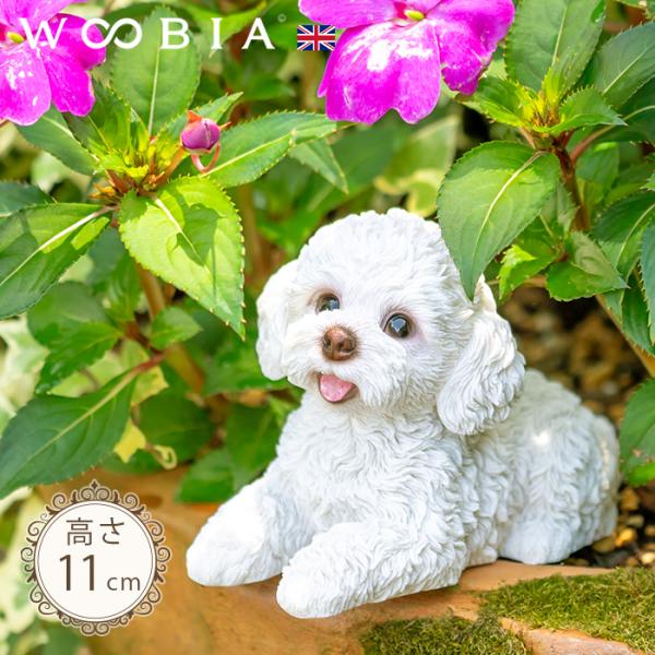 ■商品名　伏せして見上げるわんこ《 トイプードル 白 11cm》■ブランド  WOOBIA（ウービア）■内容物　本体■サイズ　横幅8cm × 奥行16.5cm × 高さ11cm■重さ　380g■関連ワード　ガーデニング 雑貨 ガーデン雑貨 ...