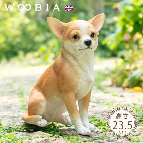 ■商品名　ちょこんと座るわんこ《 チワワ 23.5cm》■ブランド  WOOBIA（ウービア）■内容物　本体■サイズ　横幅10.7cm × 奥行19cm × 高さ23.5cm■重さ　640g■素材　ポリレジン■関連ワード　ガーデニング 雑貨...