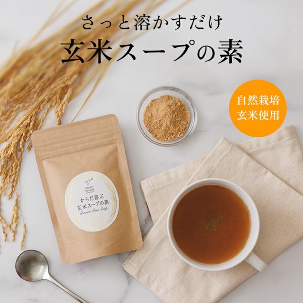 国産 玄米スープ 100g 無添加 粉末 出汁 自然栽培 農薬不使用 除草剤不使用 肥料不使用 自然農法 もとや 玄米 げんまい 玄米すーぷ スープ スープの素 素 粉 味噌汁 みそ汁 栄養 健康 栄養補給 国内産 日本産 パウダー 粉 粉...