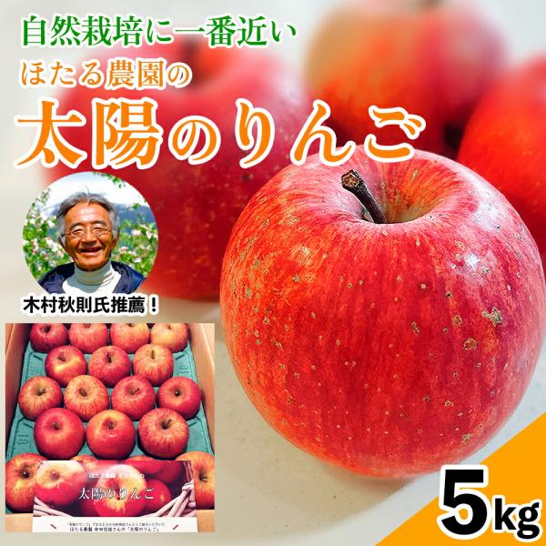 減農薬 皮ごと食べられる 太陽のりんご 5kg 直送 奇跡のりんご 木村秋則氏推薦 自然栽培に一番近い ほたる農園 りんご 林檎 リンゴ ふじ 産地直送 農家直送 化学肥料不使用 木村さん 冬季限定 冬限定 フルーツ ギフト アップル 農薬...