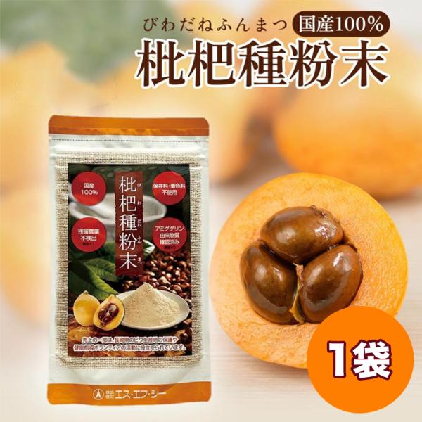 枇杷種粉末 100g/1袋 びわの種粉末 国産100％ びわ 枇杷 ビワ 琵琶種パウダー ビワ種パウダー びわ種パウダー びわ種粉末 ビワ種粉末 琵琶種粉末 枇杷種粉末 枇杷の種 びわのたね びわまる