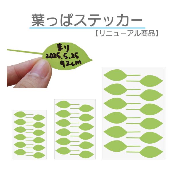 【ゆうメール対応可能】お子さまのお名前、日にち、身長などを書き込める、木の葉モチーフの身長計メモステッカー！ S〜Lサイズ　12枚セットです。 お子さんの成長が一目で感じられますよ!サイズはご購入時にお選びください。Sサイズ　約：W7.2c...