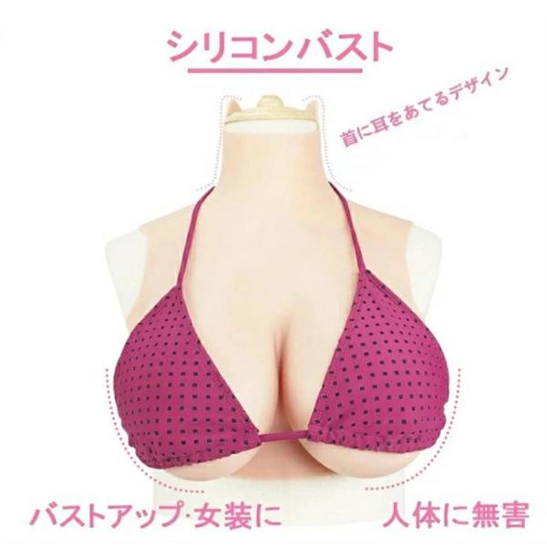 ◆商品配送について◆ ◎発送方法は安心安全の「佐川発送」を扱っています ■お届け先が北海道・沖縄・離島の場合、1500円から3000円の別途送料が発生するかもしれません。 ■入金してから商品到着までにキャンセル不可.　到着後不良等場合はこち...
