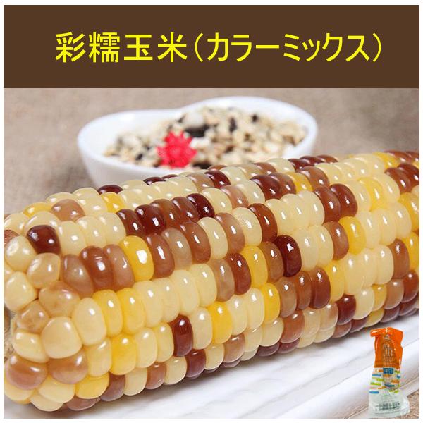 即席トウモロコシ 中華料理 惣菜 お弁当　非常食にも本場中国産ワキシーコーン（もち種）です。もちもちとした食感があるのが特徴。調理済みのもので、温めるだけ！電子レンジでOK！いつでも食べたい時に食べれるのが魅力。※スイートコーンではありませ...