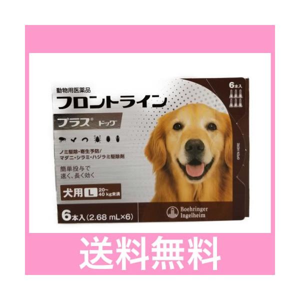 ★この商品は、代引き不可です！★送料540円（北海道、沖縄、離島：1080円）+代引き手数料324円追加で代引発送いたします。★当店にて追加料金の処理を行います。備考欄にその旨お書き下さい！【注意】1.代引き不可2.時間指定不可3.同梱不可...