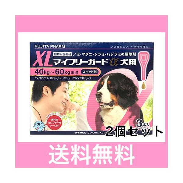 ★この商品は、代引き不可です！★送料540円（北海道、沖縄、離島：1080円）+代引き手数料324円追加で代引発送いたします。★当店にて追加料金の処理を行います。備考欄にその旨お書き下さい！【注意】1.代引き不可2.時間指定不可3.同梱不可...