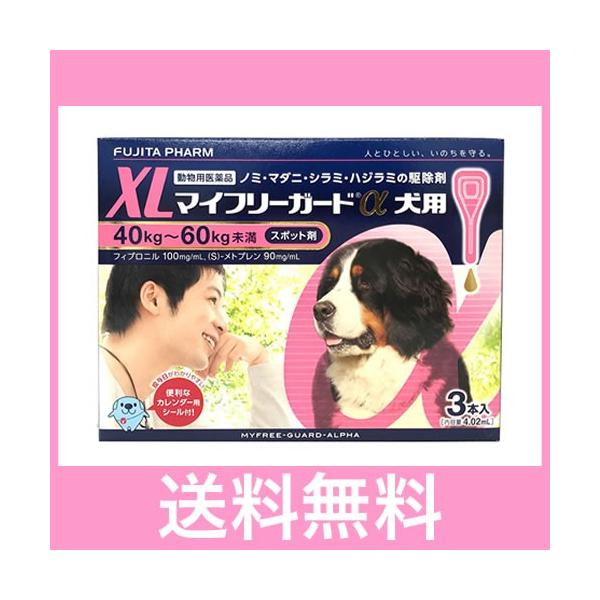 ★この商品は、代引き不可です！★送料540円（北海道、沖縄、離島：1080円）+代引き手数料324円追加で代引発送いたします。★当店にて追加料金の処理を行います。備考欄にその旨お書き下さい！【注意】1.代引き不可2.時間指定不可3.同梱不可...